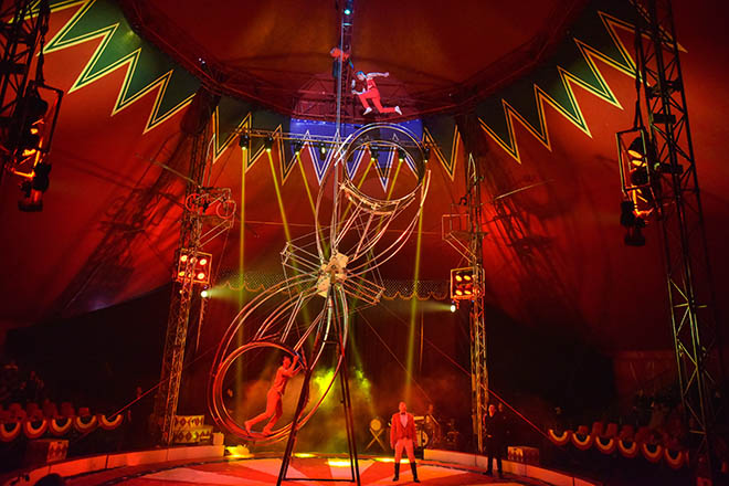 Gallery - Circus Berlin