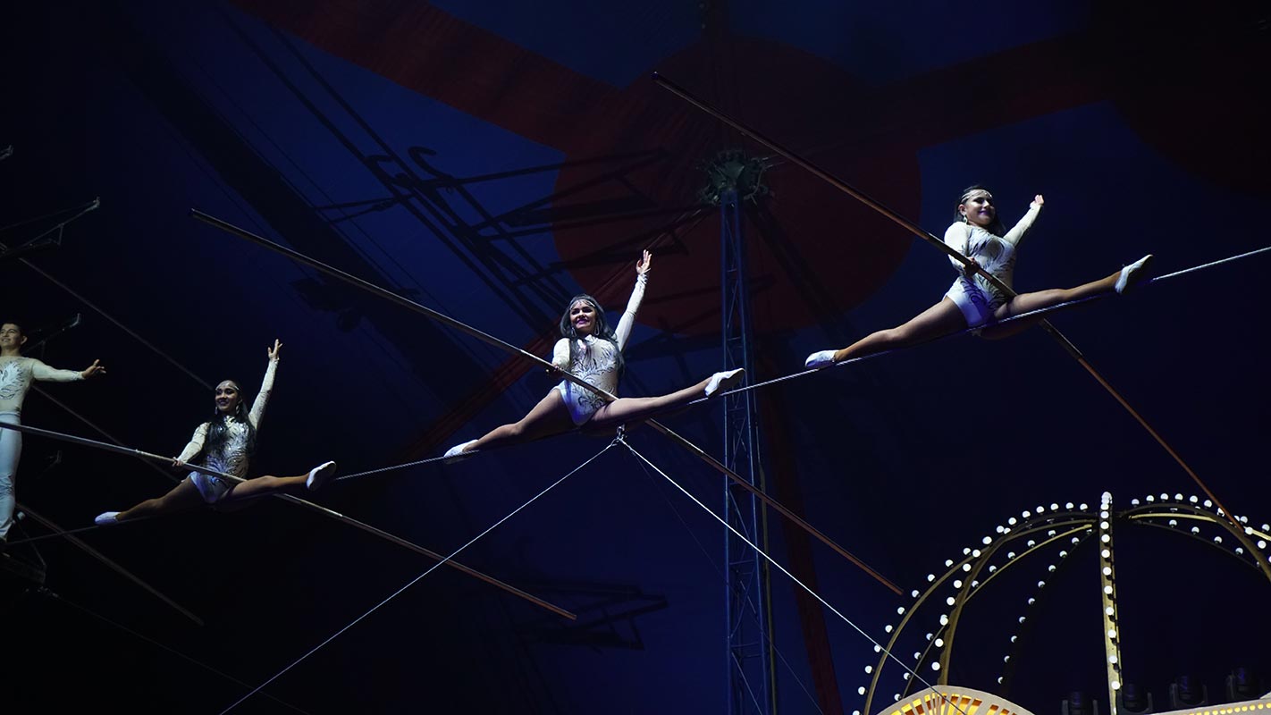 Gallery - Circus Berlin