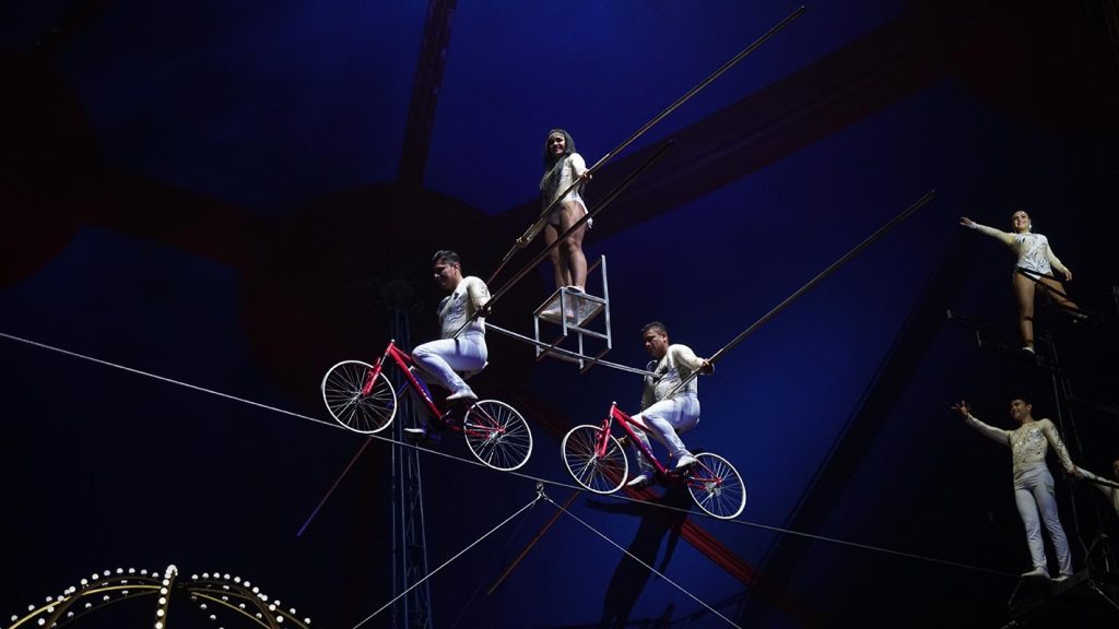 Gallery - Circus Berlin