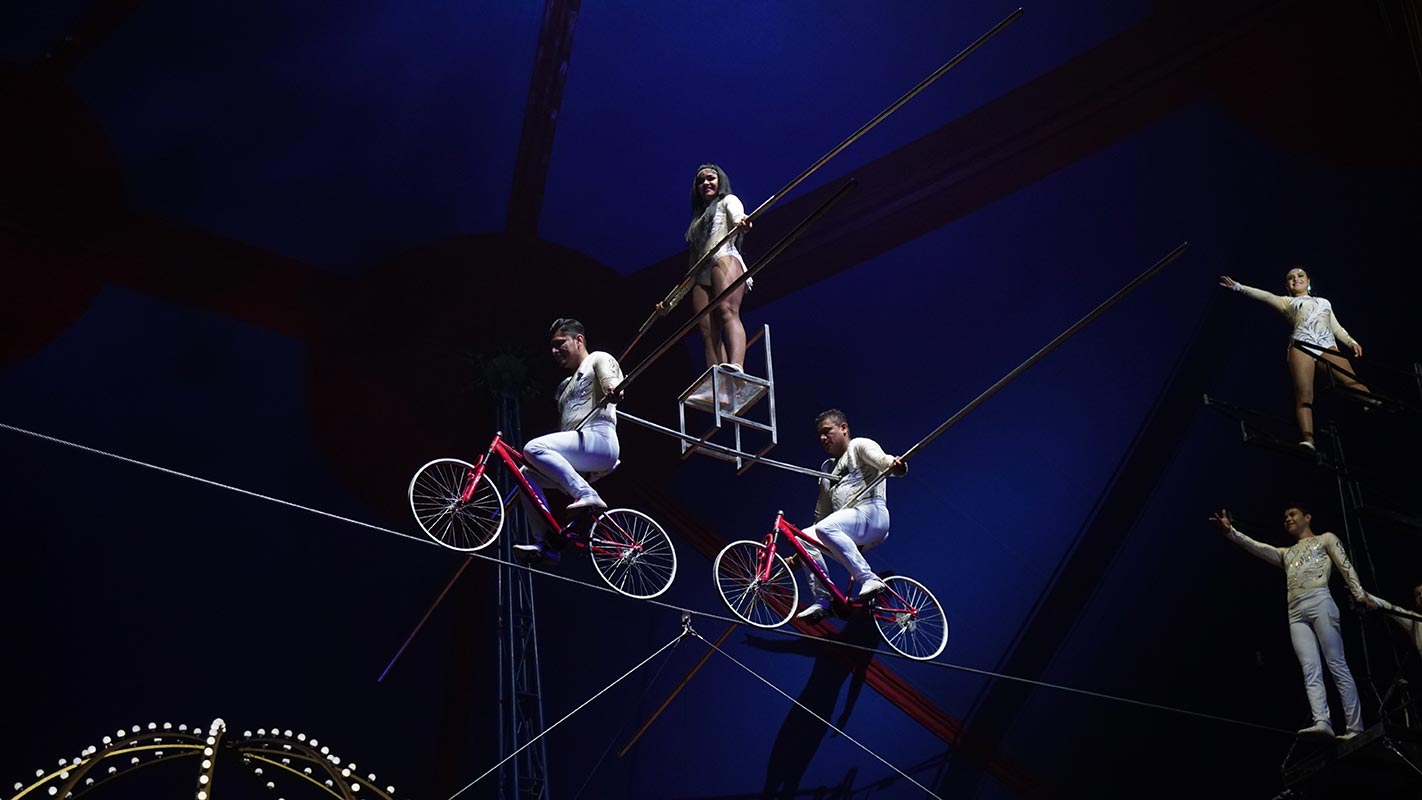 Gallery - Circus Berlin